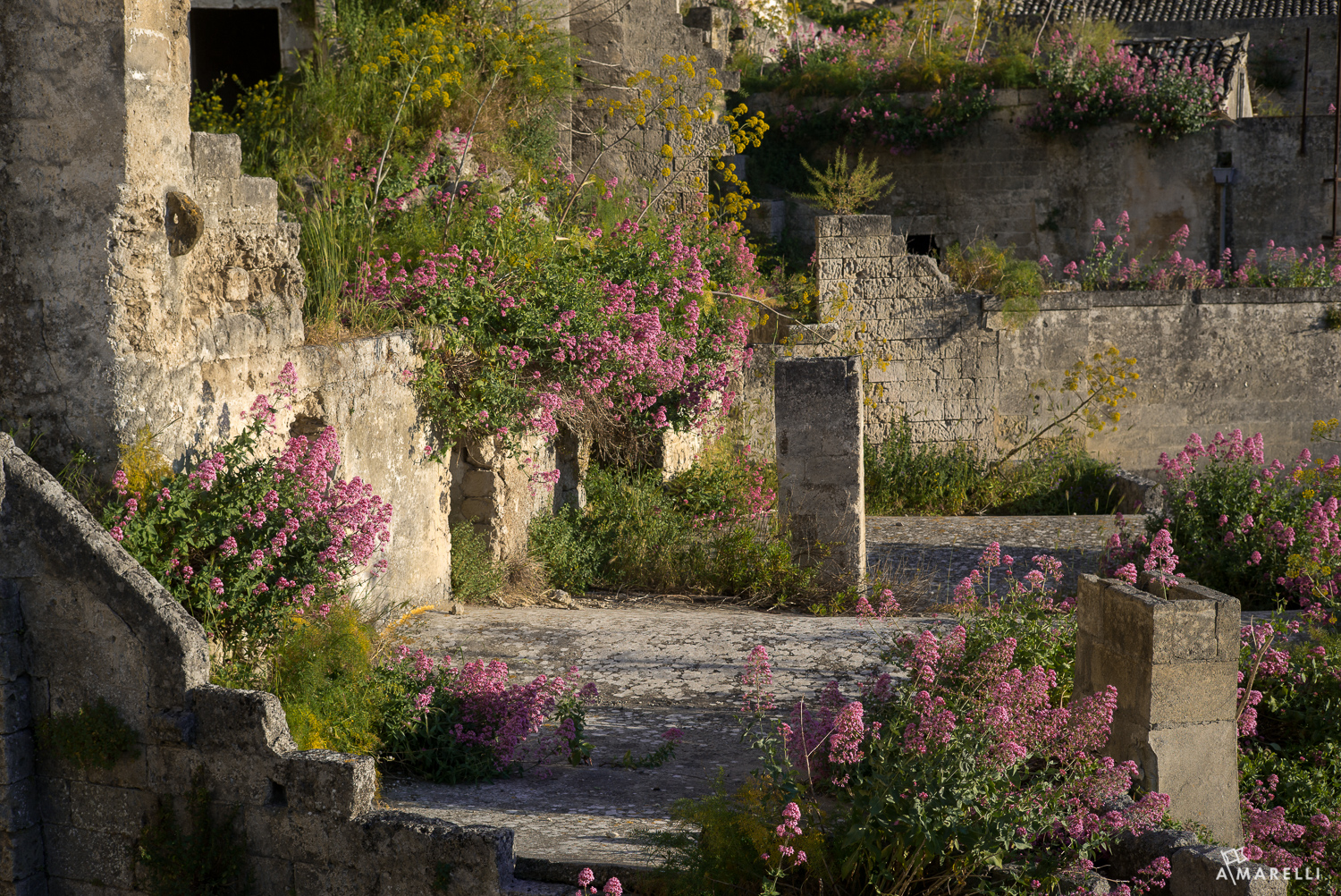 The Four Types of Pictures We All Take – Adam Marelli Workshops