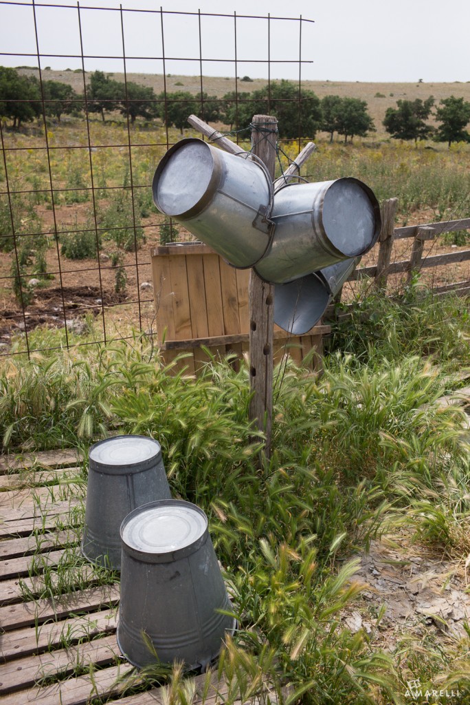 The Four Types of Pictures We All Take – Adam Marelli Workshops